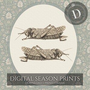 Grasshopper Wall Art, Printable Insect Wall Art, Vintage Botanical ...