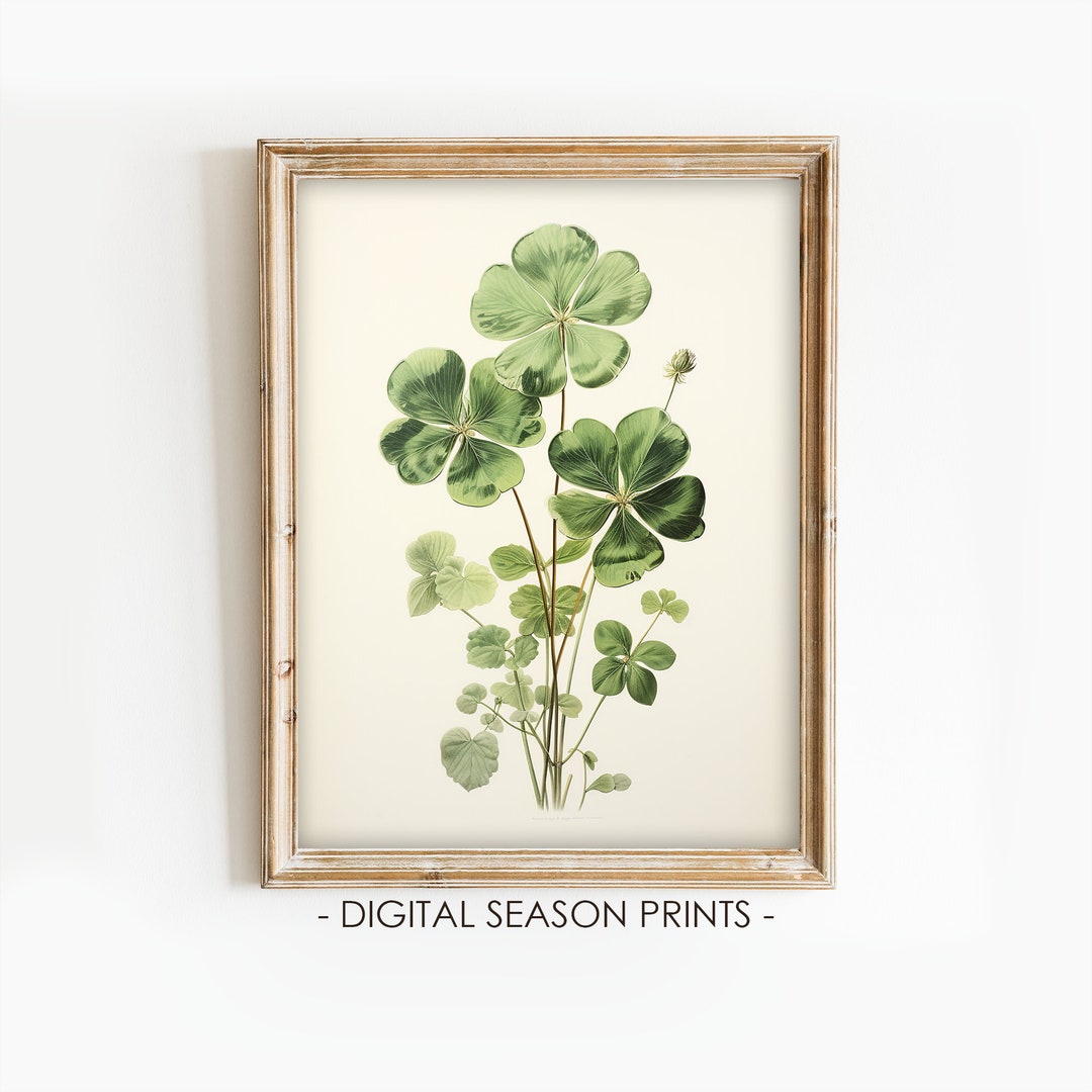 Botanical Clover Wall Art Print, Vintage Shamrock St Patrick’s Day ...