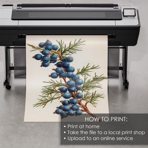 Vintage Juniper Branch Christmas Print, Christmas Decor Printable Wall ...