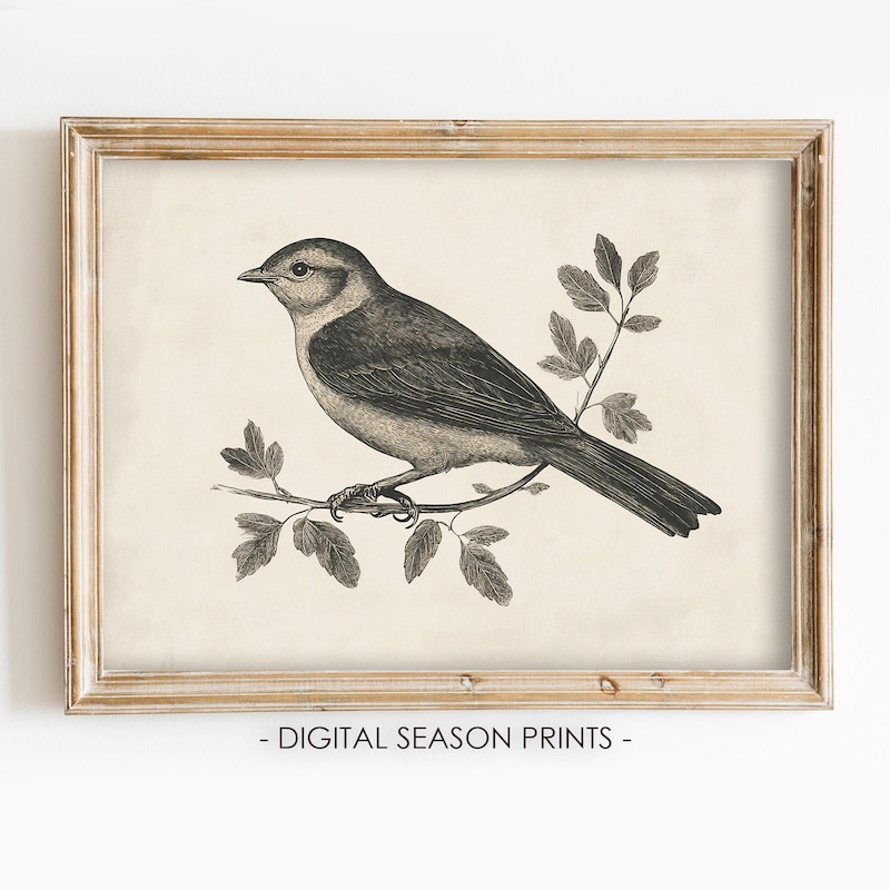 Horizontal Bird Sketches - Etsy