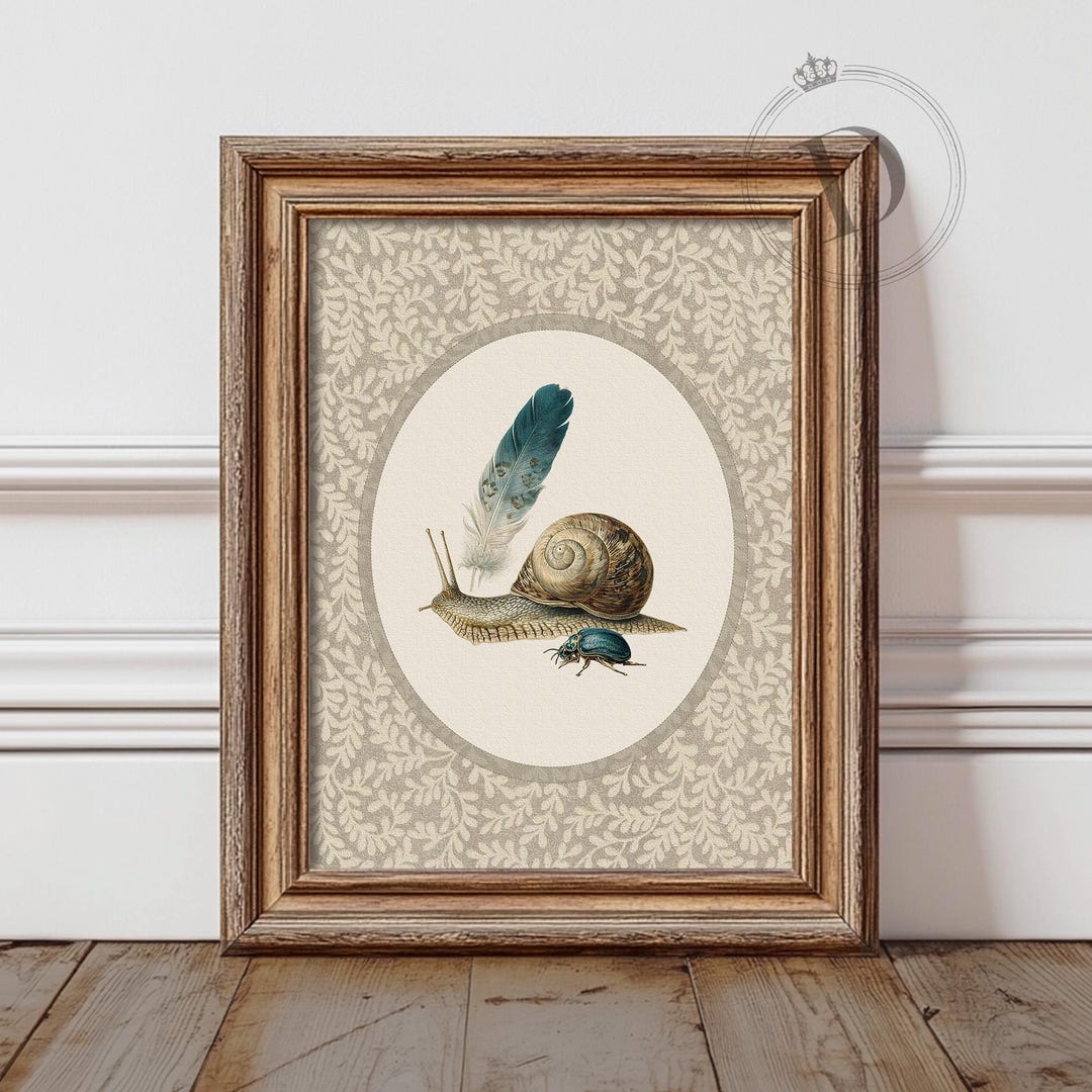 Snail Wall Art, Printable Nature Wall Art, Vintage Feather and Beetle ...