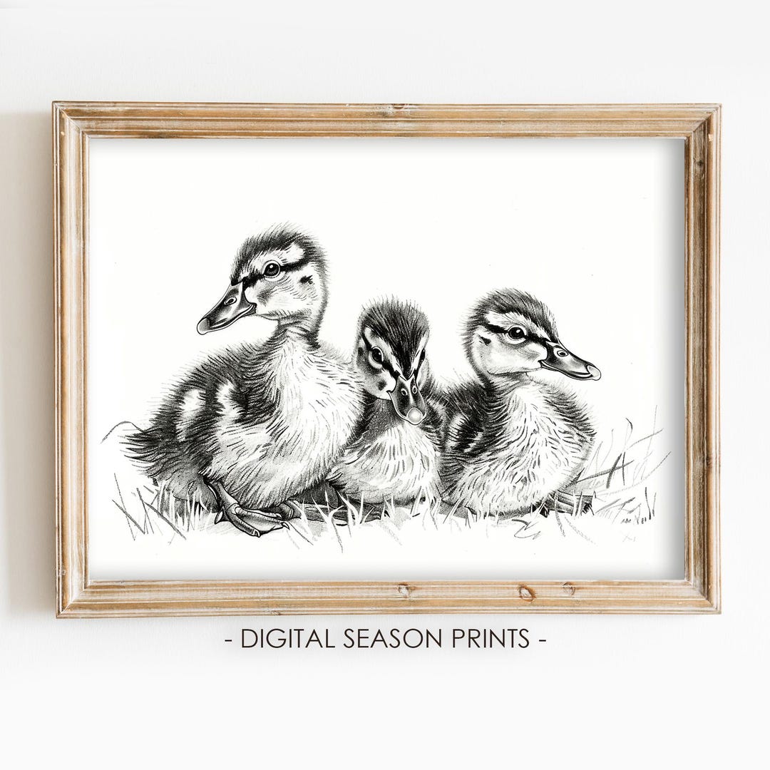Duck Pencil Drawing Print: Minimalist Bird Wall Art (digital Download ...