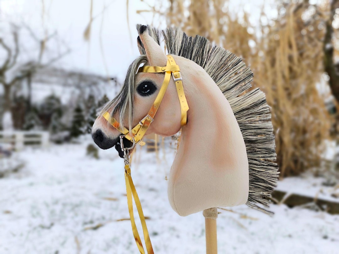 Fjord Hobby Horse | Realistic Stick Horse | Riding Toy - Etsy