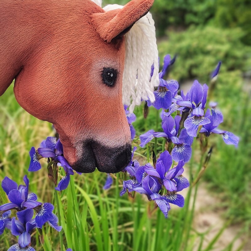 Realistic Cheap Hobby Horses - Etsy