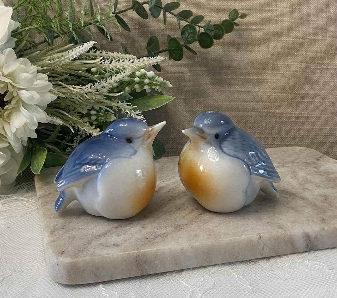 Vintage BLUE BIRD, Ceramic Salt & Pepper Shaker Set in Beautiful ...