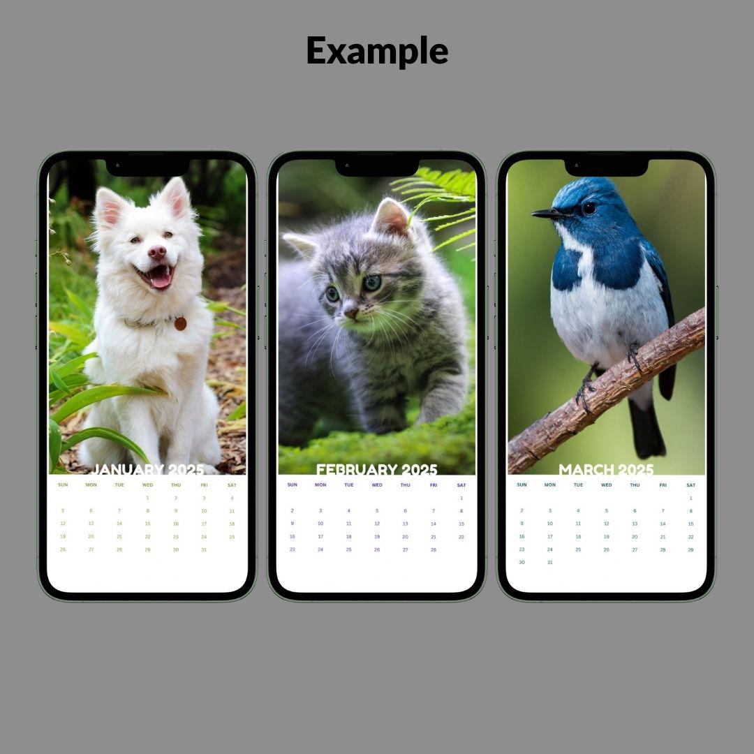 2025 Editable Calendar Canva Templates | Fully Editable for DIY | 22 ...