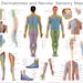 Dermatomes and Nerves Poster – Sensory Map of Human Body | Anatomy ...