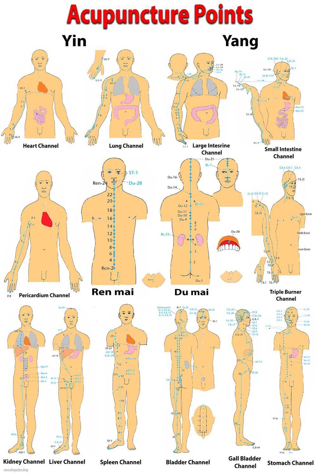 Acupuncture Meridians and Points: Traditional Chinese Medicine Chart (high-resolution Printable ...