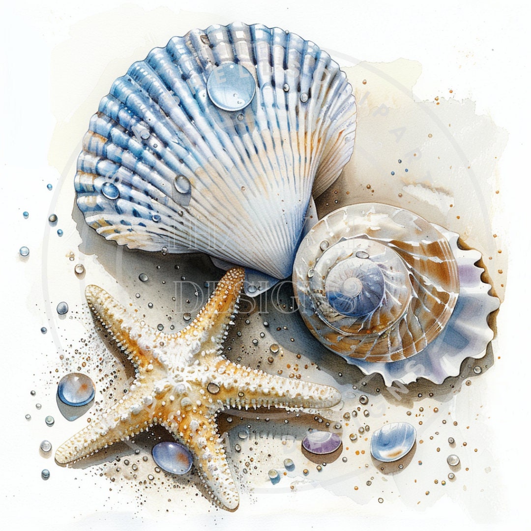 Sea Shells Clipart, 12 High-quality Pngs, Beach Clipart, Seashell PNG ...