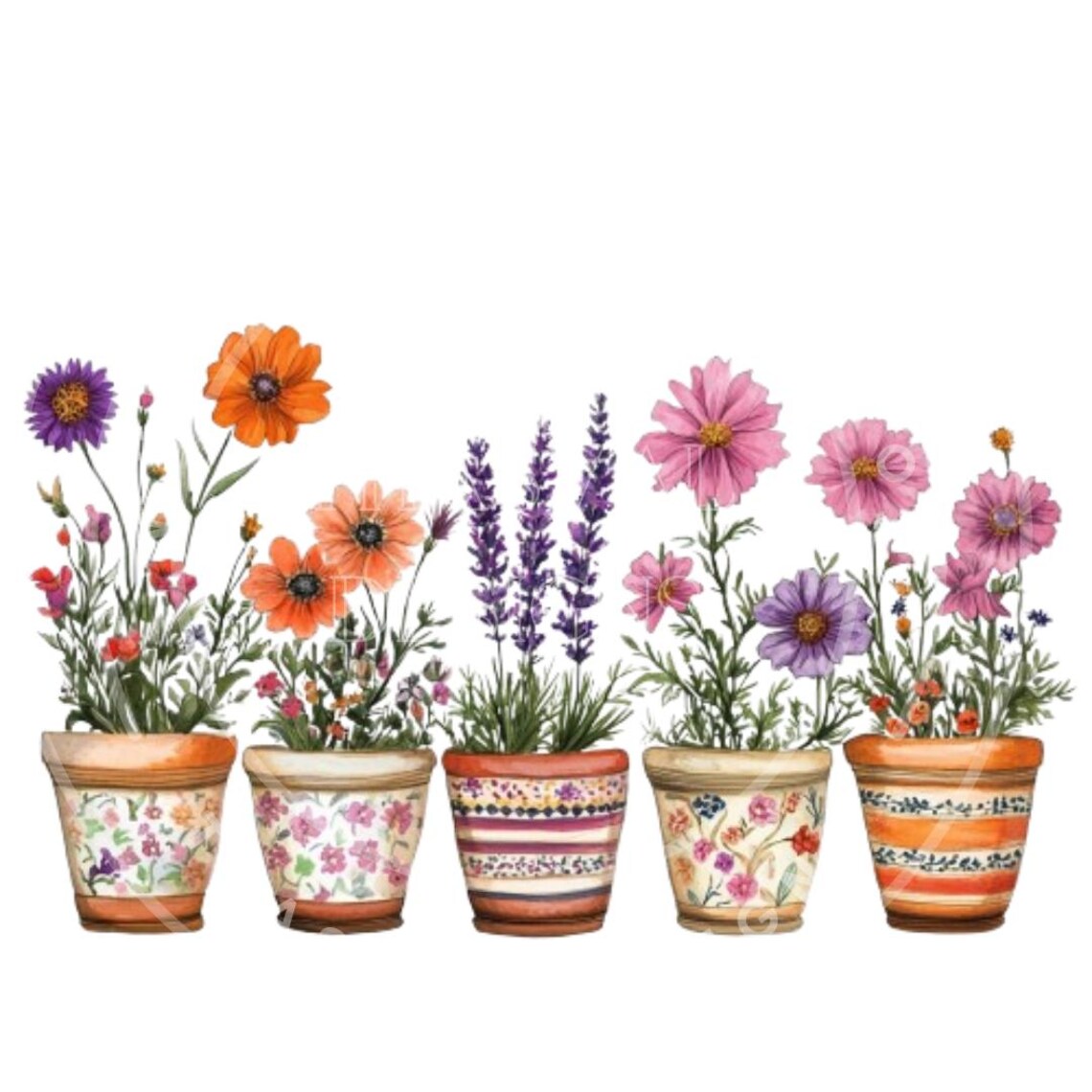 Whimsical Flower Pot Clipart, 9 PNG Floral Graphics (digital Download ...