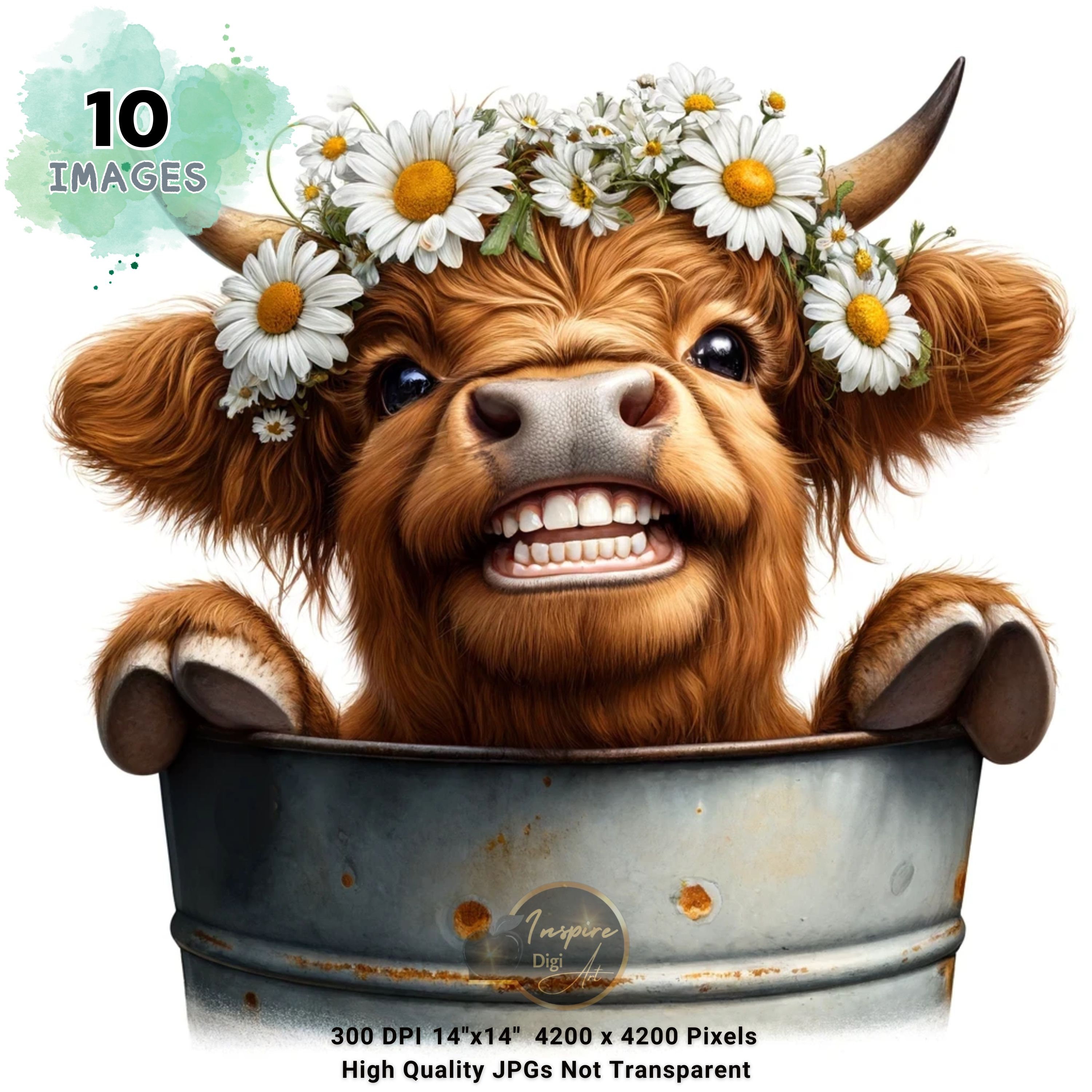 Highland Cow Bucket, Funny Highland Cow Clipart, Watercolor Whimsical ...