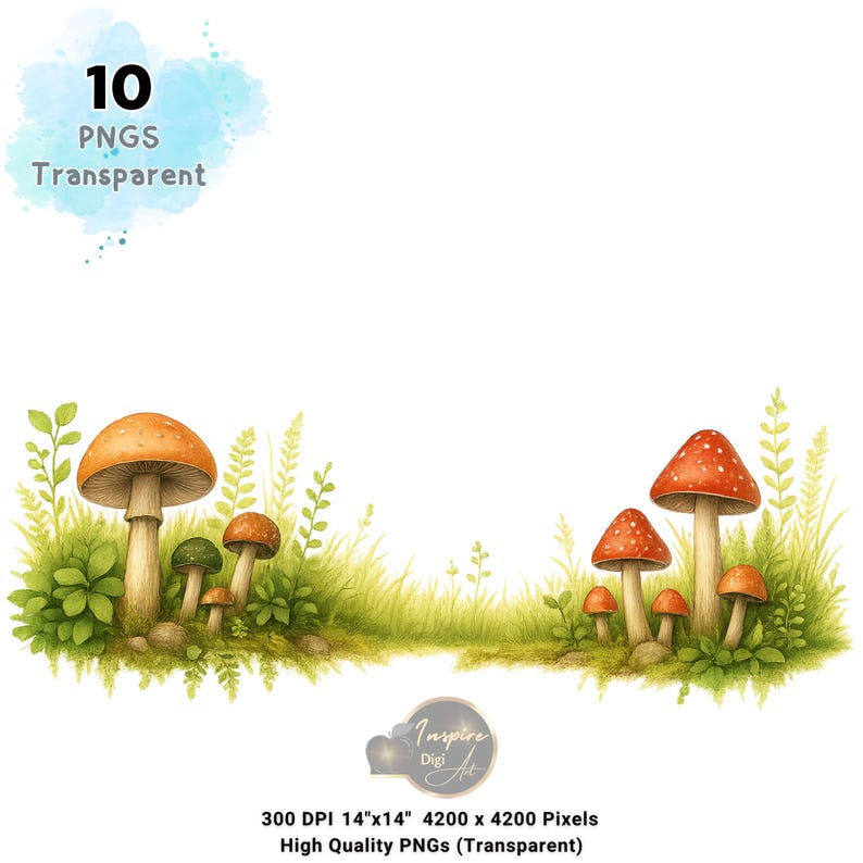 Mushroom Border Clipart: Forest Fungi Frame (digital Download) - Etsy
