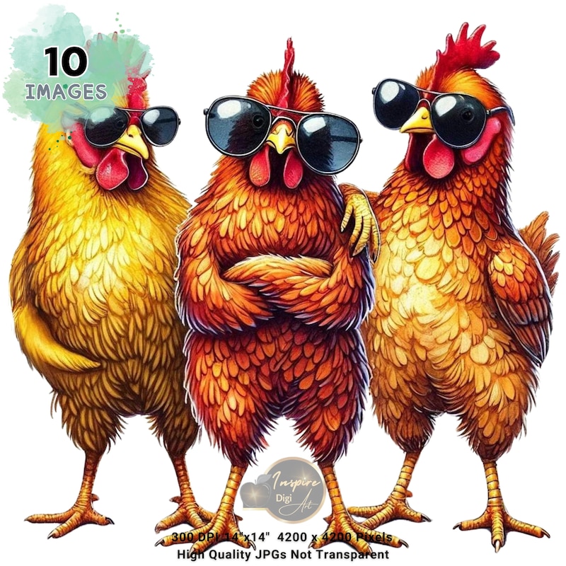 Cool Chicken Clipart - Etsy