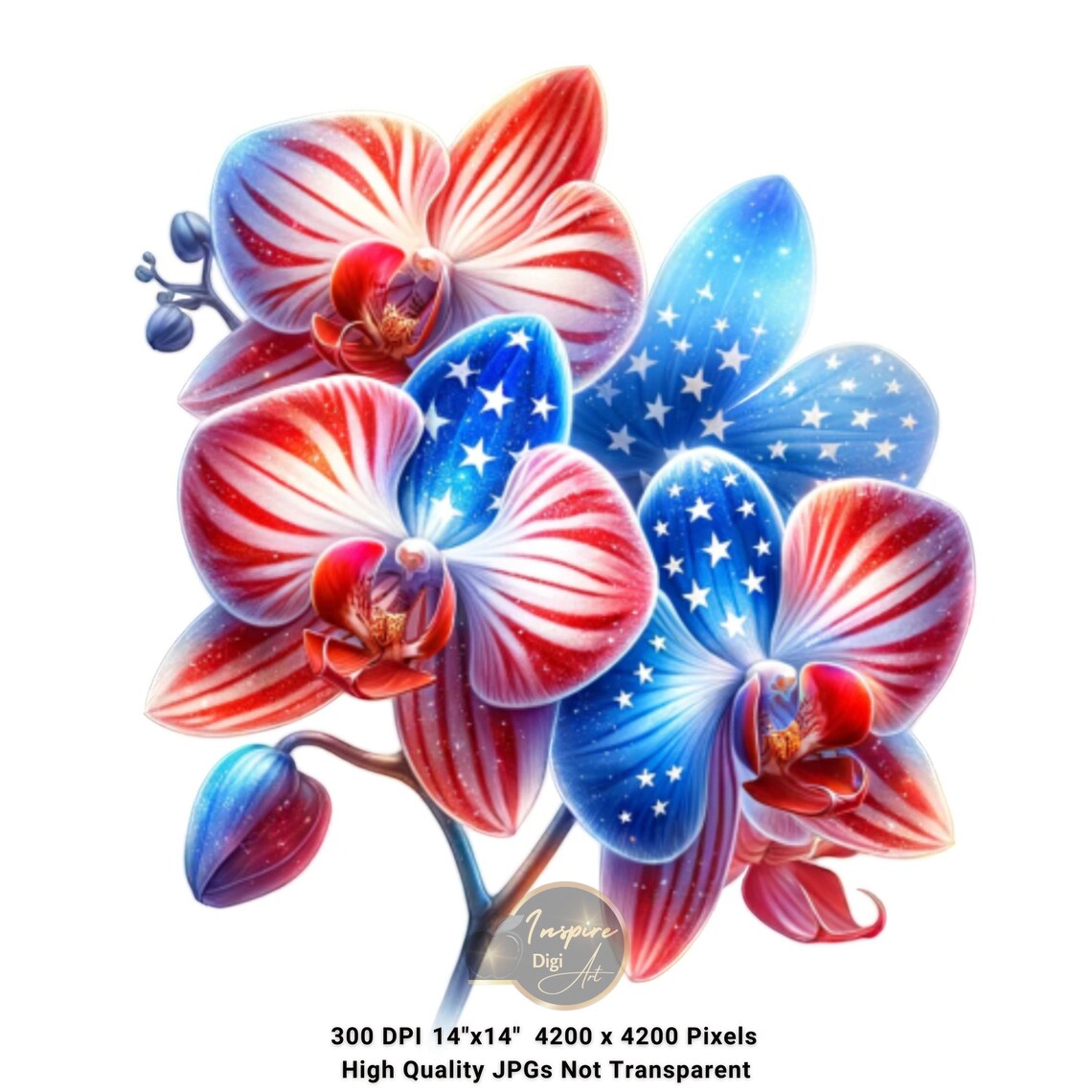 4th of July Flower Clipart, Patriotic Floral Clipart, Independence Day ...