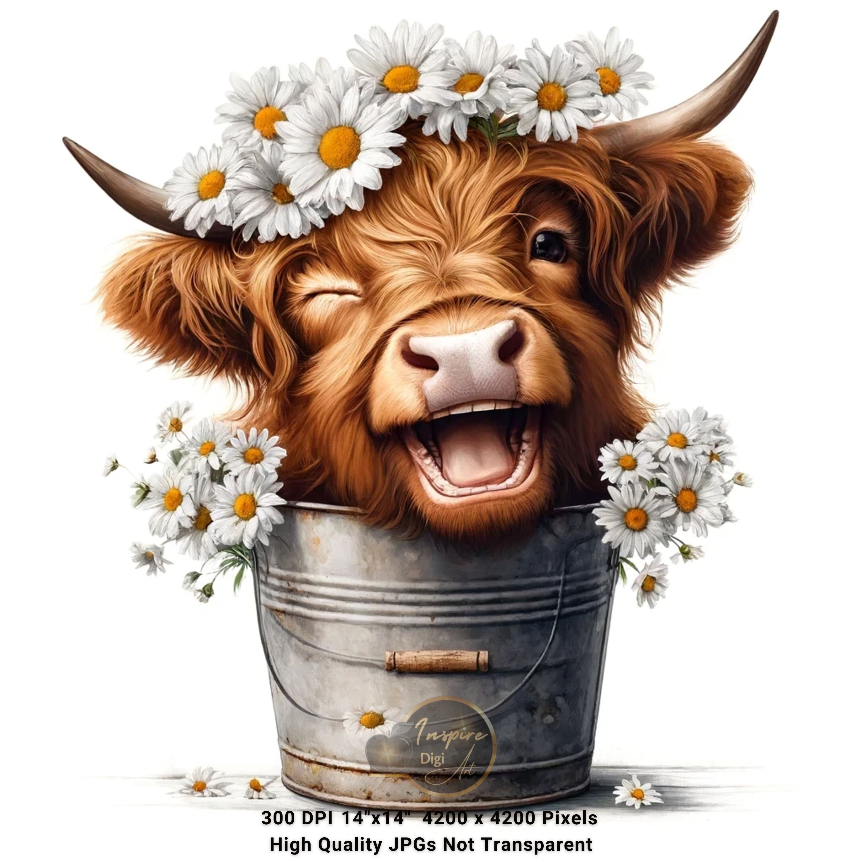 Highland Cow Bucket, Funny Highland Cow Clipart, Watercolor Whimsical ...