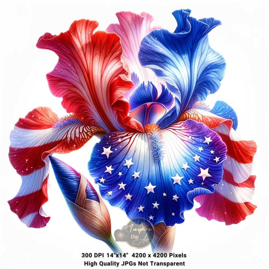 4th of July Flower Clipart, Patriotic Floral Clipart, Independence Day ...