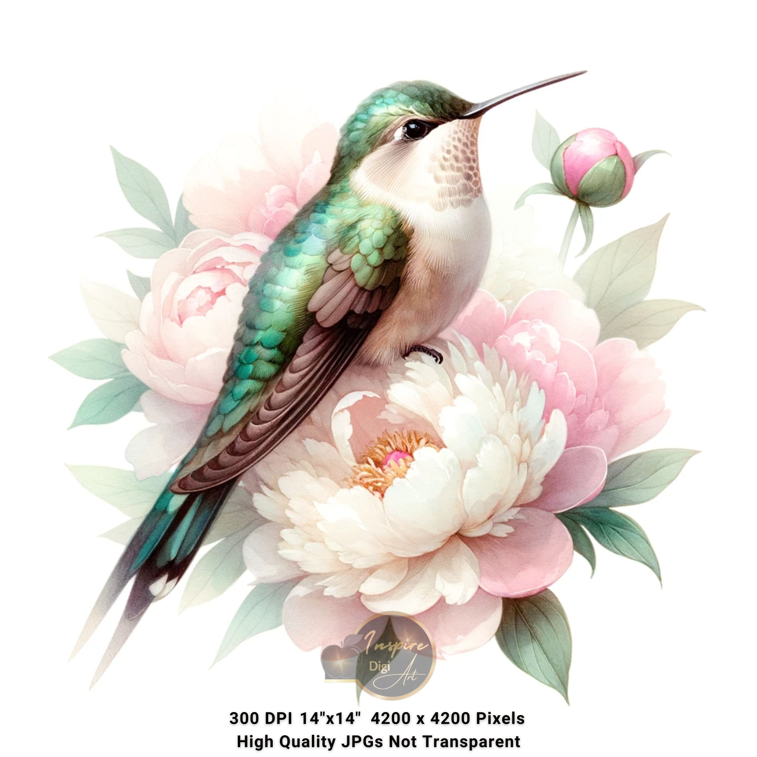 Hummingbird Clipart, Hummingbird With Flower Clipart, Hummingbird ...