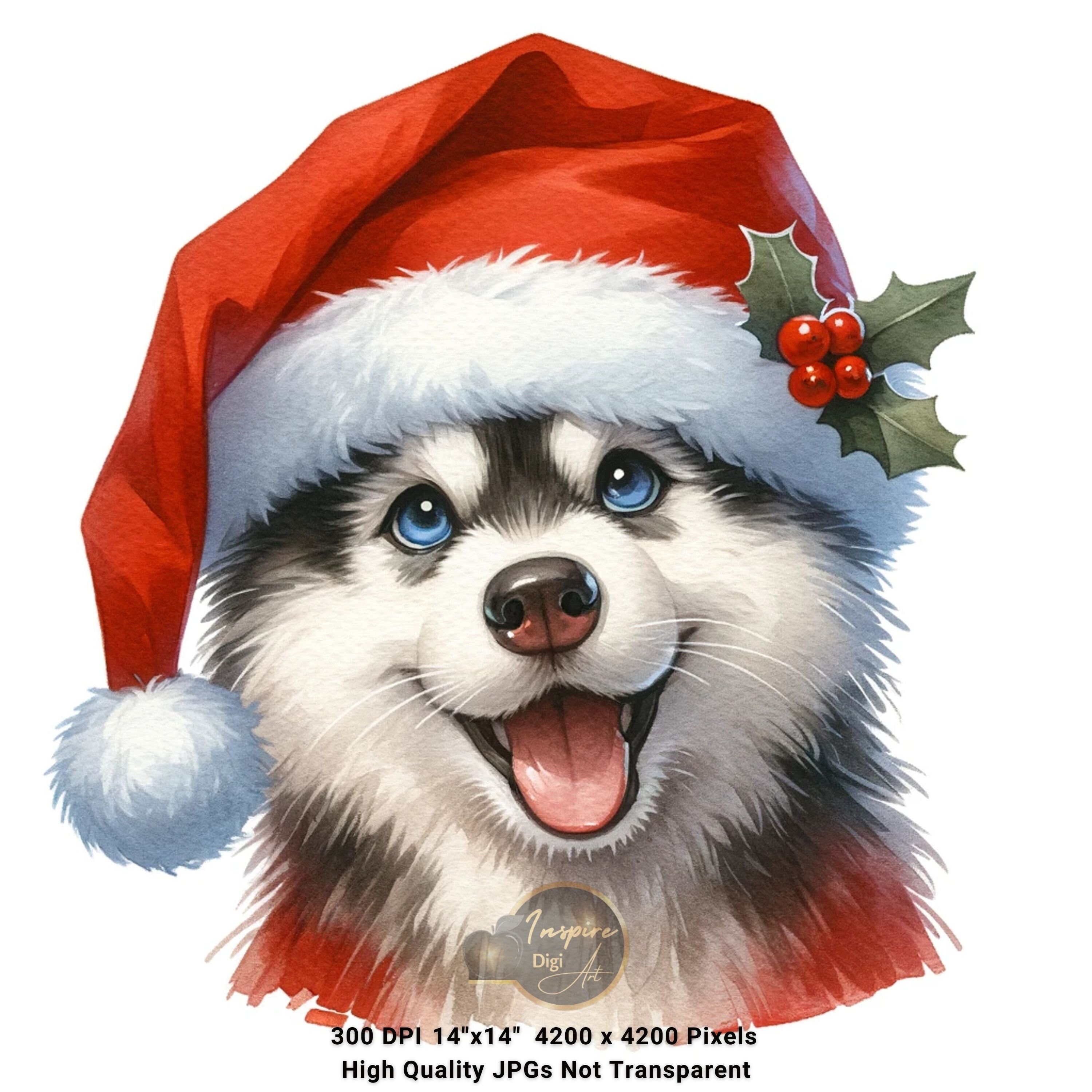 Funny Husky Clipart Whimsical Husky Clipart Cute Husky Clipart Siberian Husky Watercolor