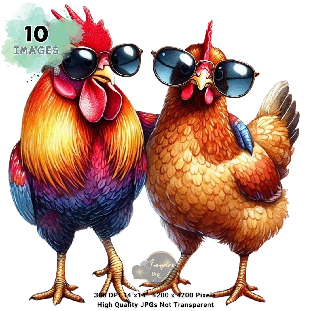 Funny Chickens Clipart, Cool Chickens Clipart, Watercolor Chickens ...