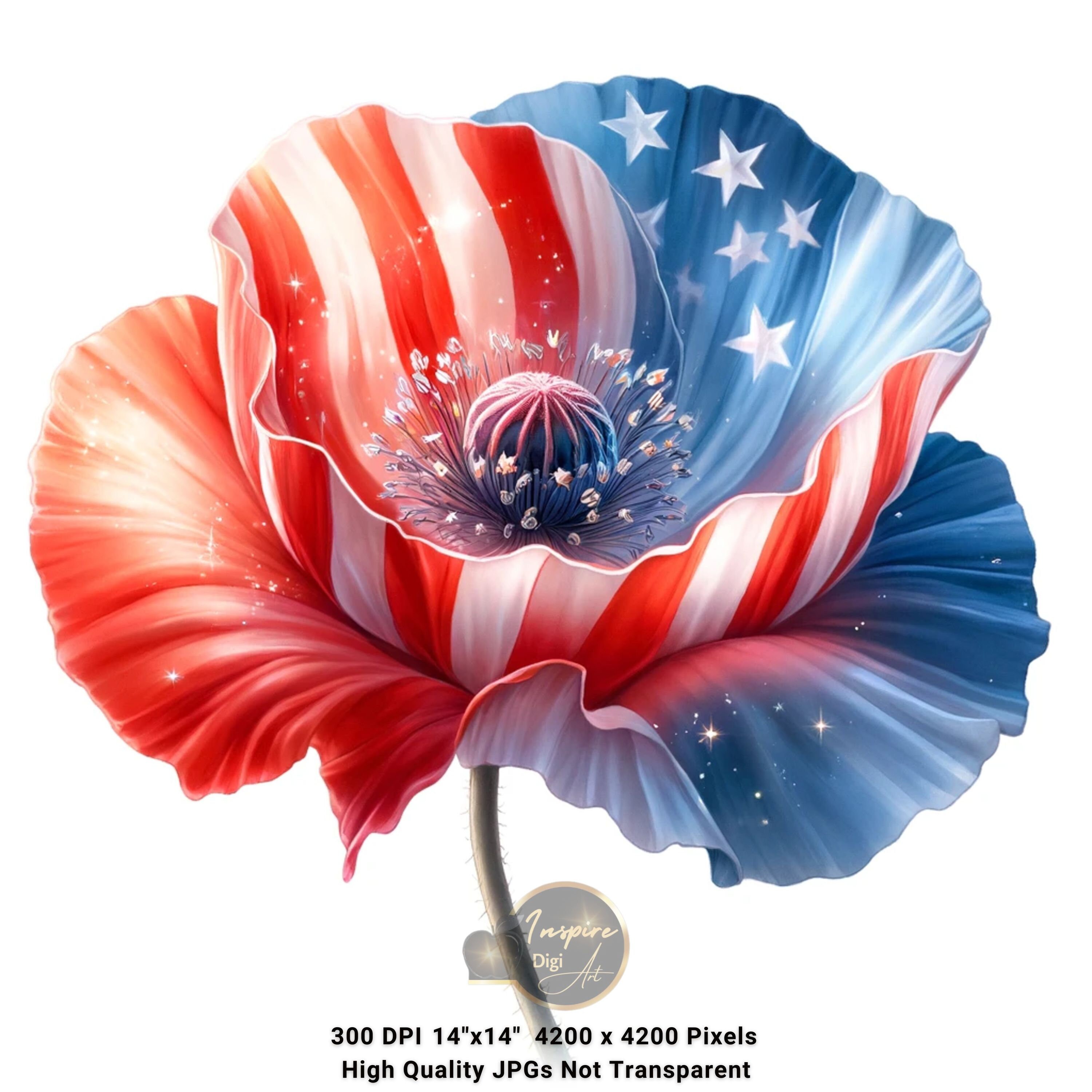 4th of July Flower Clipart, Patriotic Floral Clipart, Independence Day ...