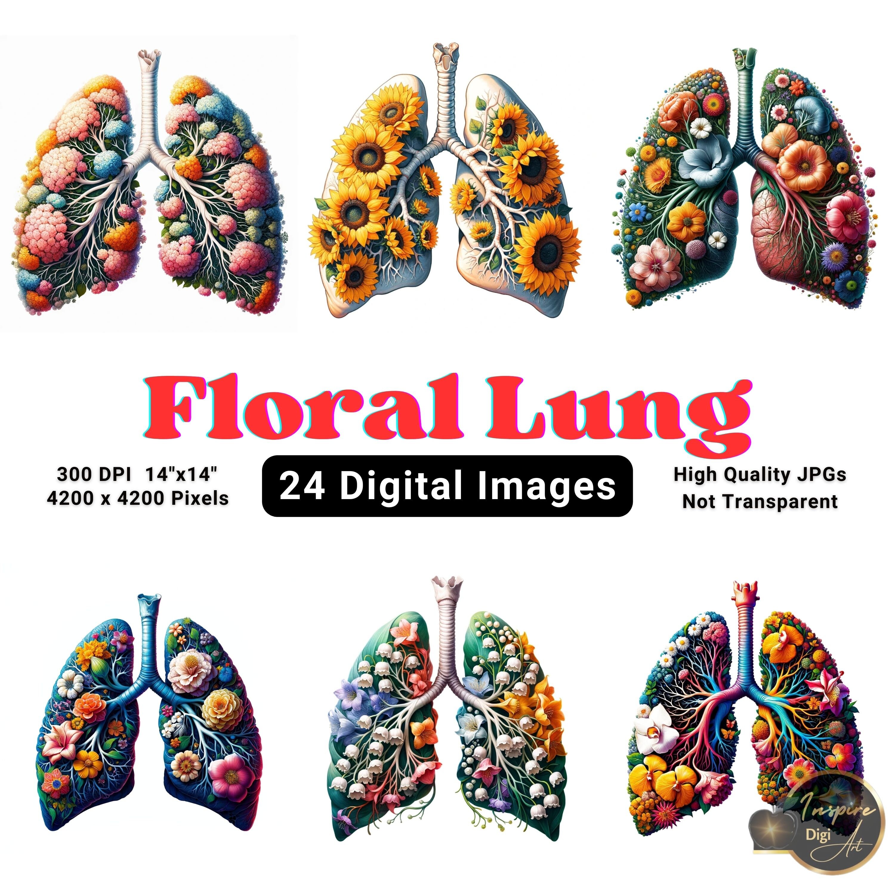 Floral Anatomical Lungs, Floral Lung Clipart, Flower Lungs Pictures ...
