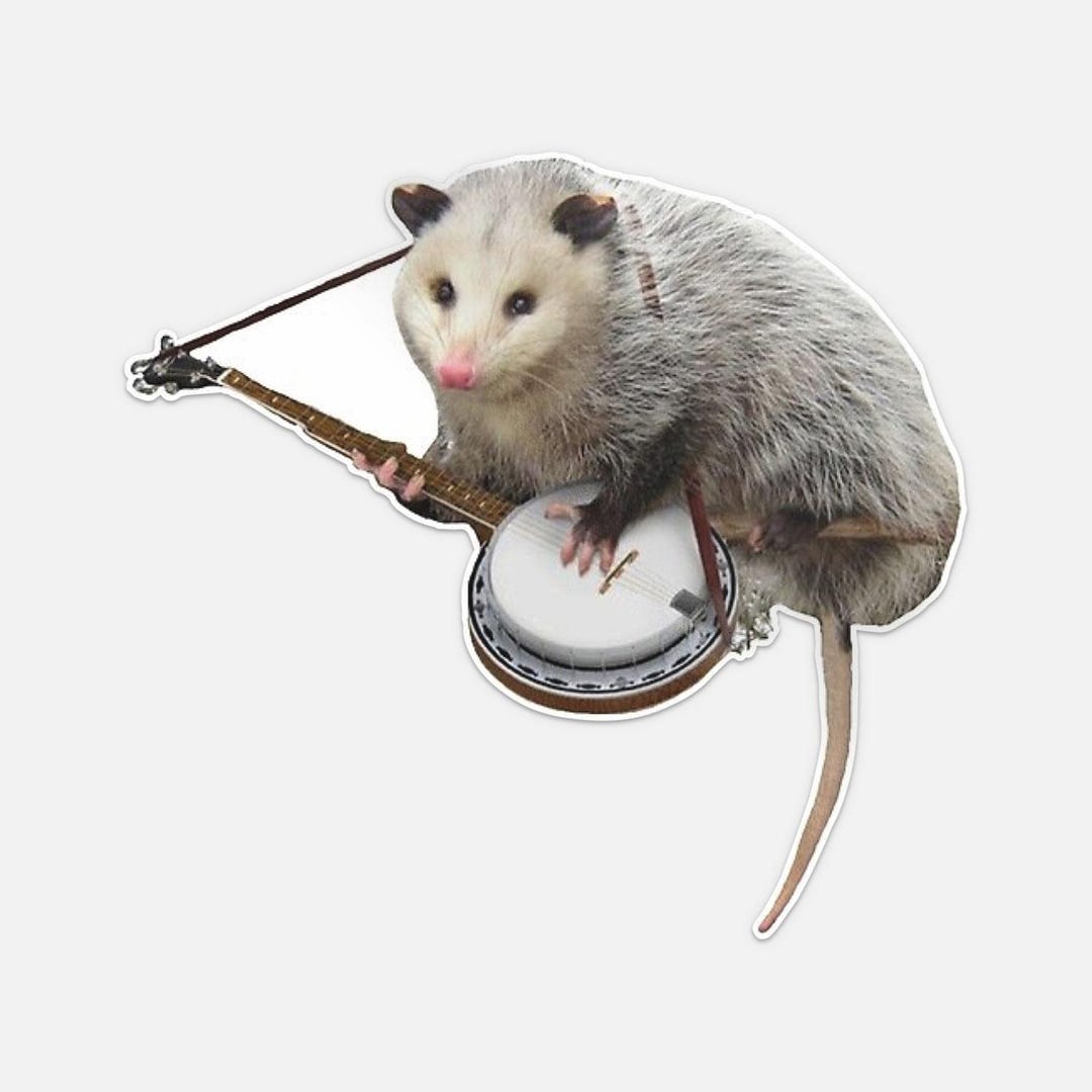 Possum Playing Banjo Sticker Car Bumper Decal - Etsy
