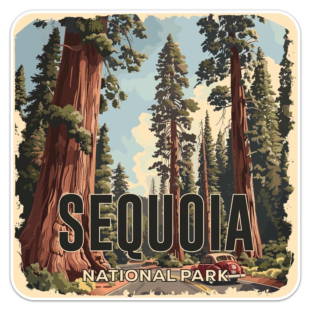 Sequoia National Park Car Bumper Sticker Decal - Etsy
