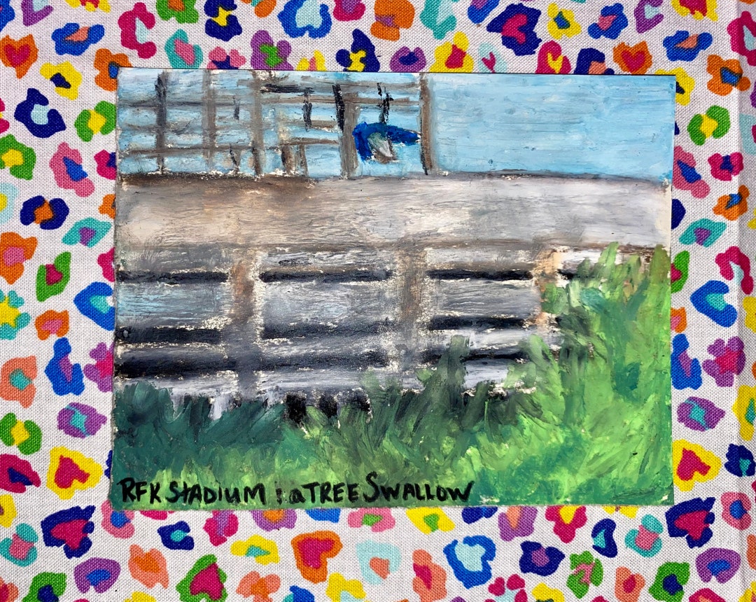 RFK Stadium & a Tree Swallow Original Oil Pastel Painting - Etsy