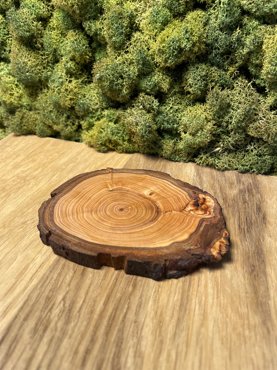 Rustic Wooden Coaster With Tree Bark - Etsy