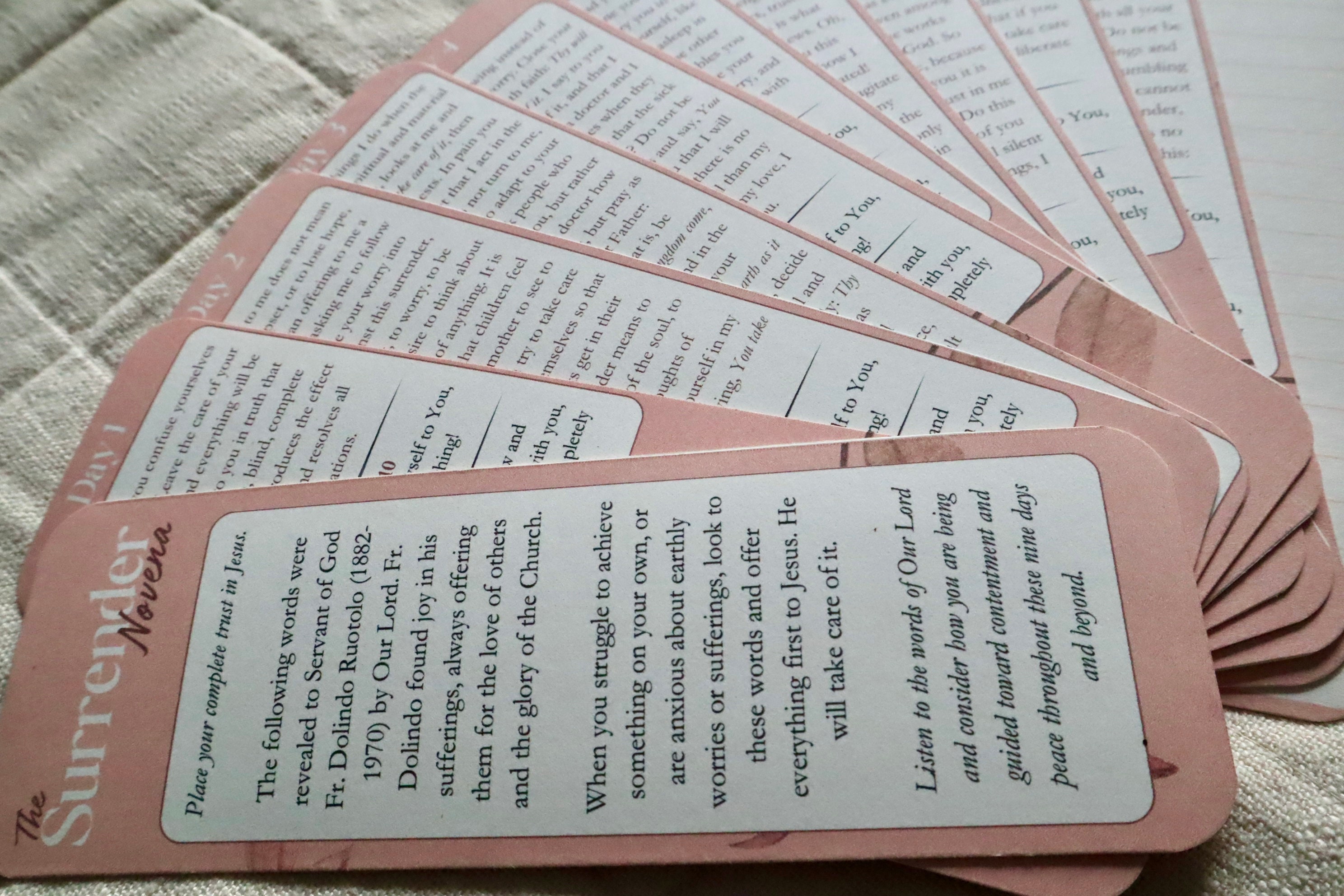 Printable Surrender Novena Prayer Card Set, Pink, Floral, 12 Cards ...