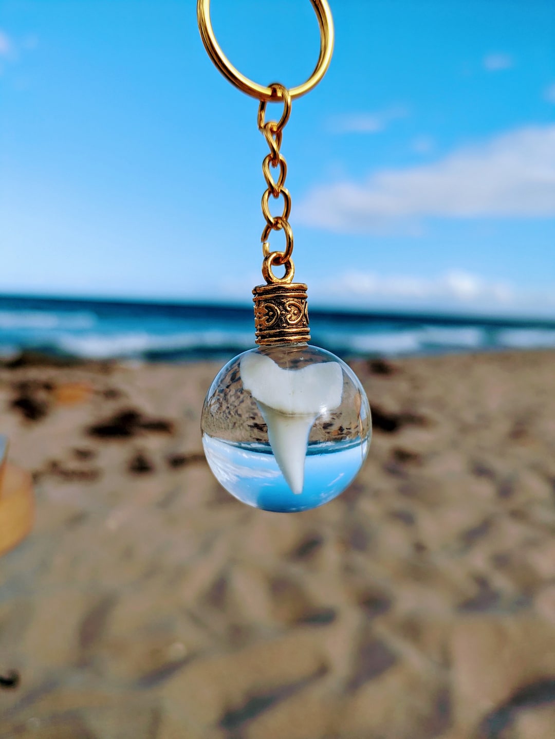 Gold Chain Handmade White Mako Shark Tooth Keychains Perfect Backpack ...