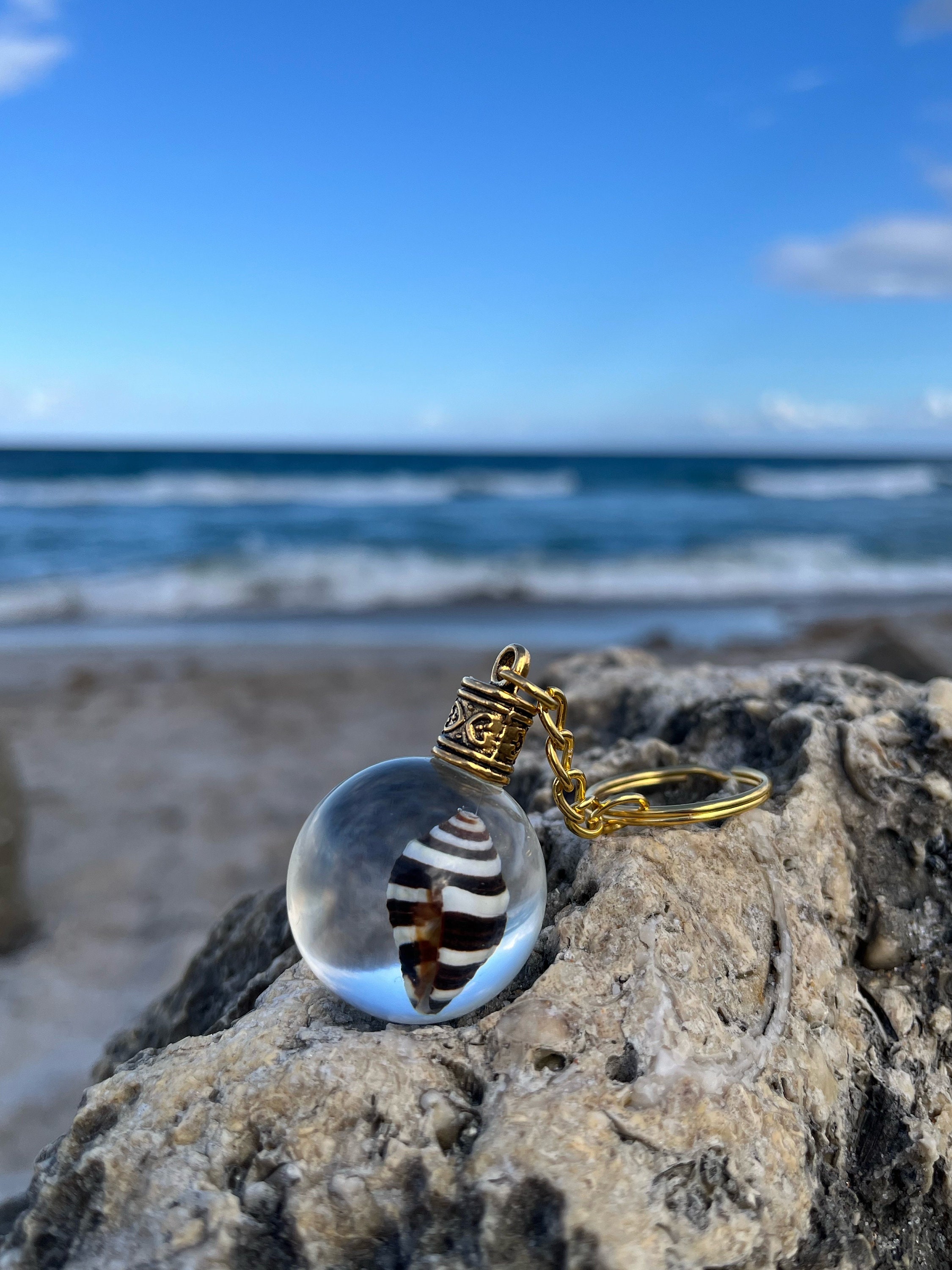 Authentic Handmade Zebra Shell Keychains Perfect Backpack, Bag or Key ...