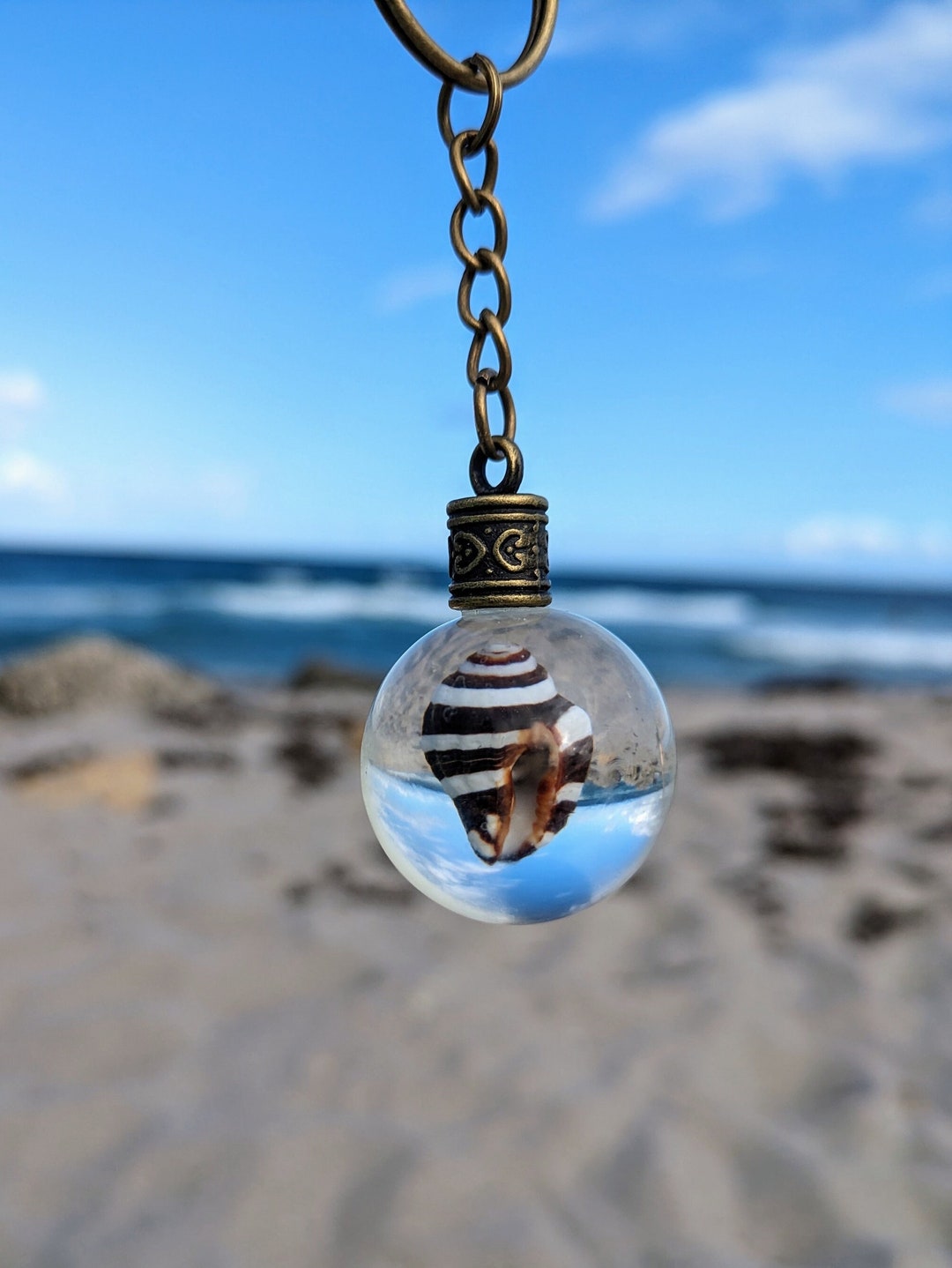 Authentic Handmade Zebra Shell Keychains Perfect Backpack, Bag or Key ...