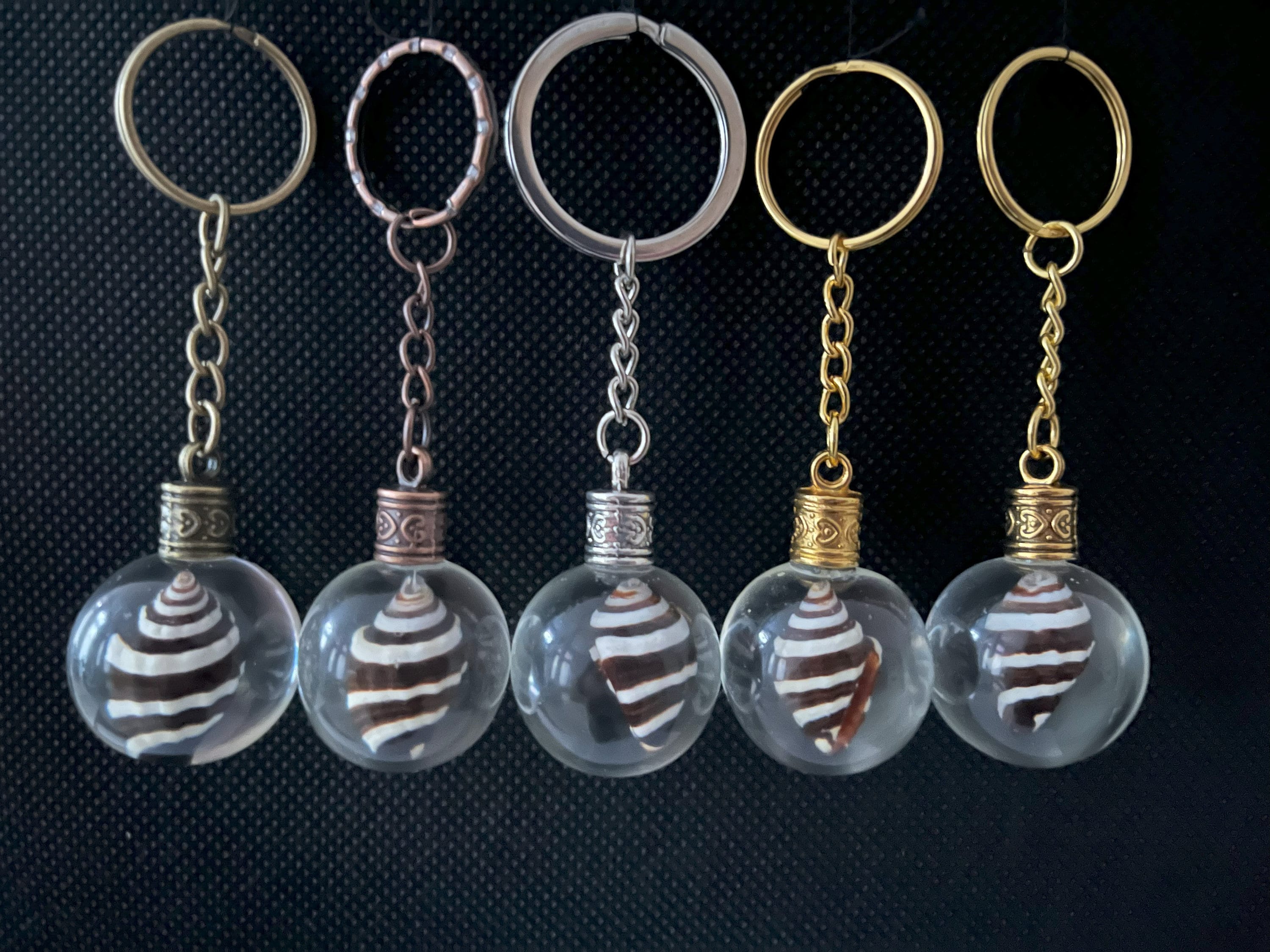 Authentic Handmade Zebra Shell Keychains Perfect Backpack, Bag or Key ...