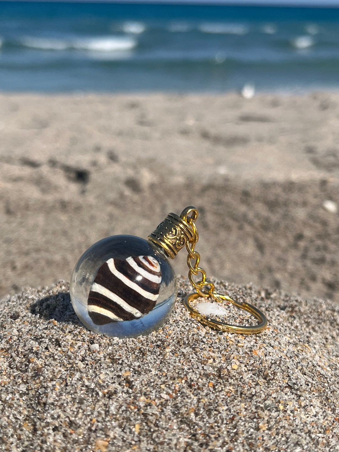 Sea Shell Keychain - Perfect Backpack, Bag or Key Chain Accessory ...