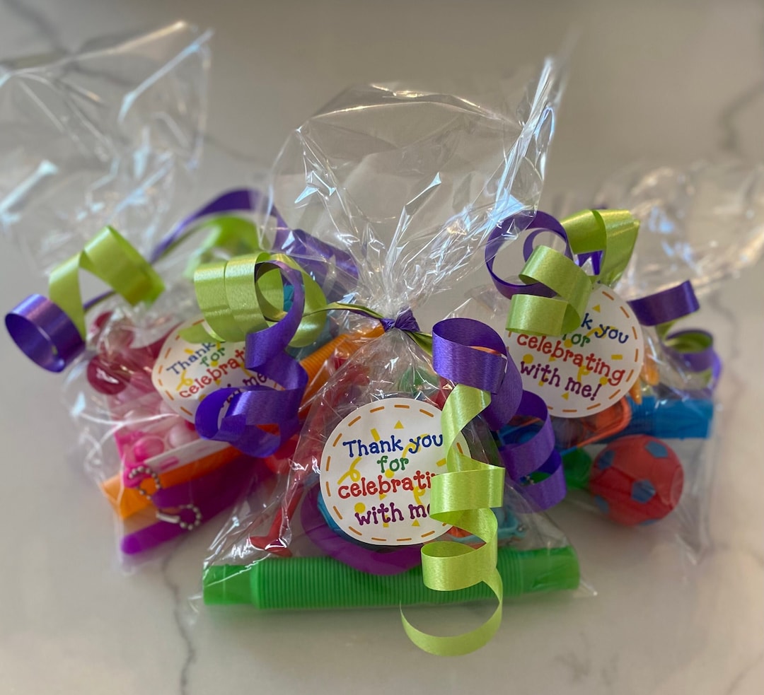 Birthday Party Favors, Fidget Party Favors, Class Party Favors, Kids ...