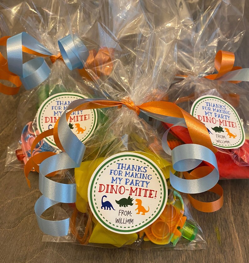 Dinosaur Party Favors, Dinosaur Goodie Bags, Dinosaur Party, Birthday ...