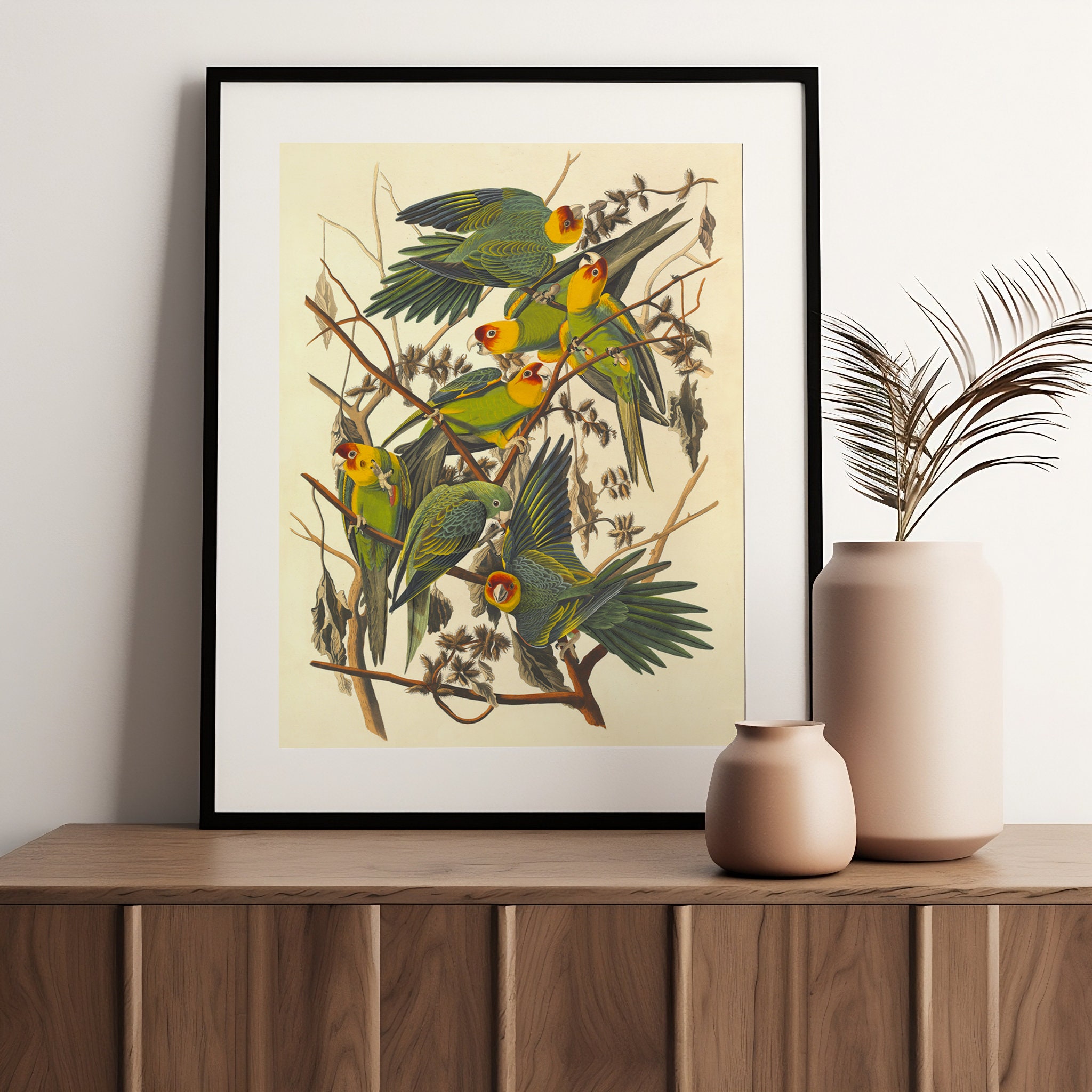 Parrots Art Print, Pretty Vintage Style Bird Parrot Art Poster Painting ...