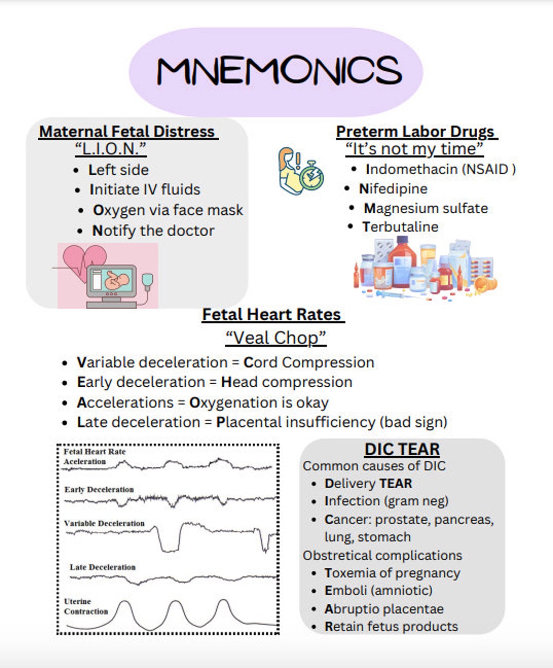OB Maternity / Postpartum / Newborn Nursing Notes Plus Mark Klimek ...