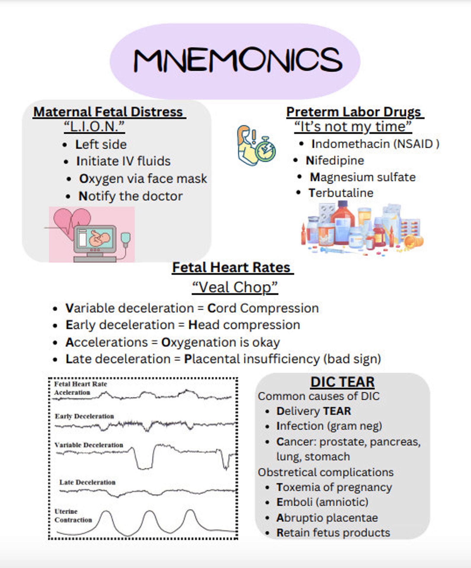 OB Maternity / Postpartum / Newborn Nursing Notes Plus Mark Klimek ...
