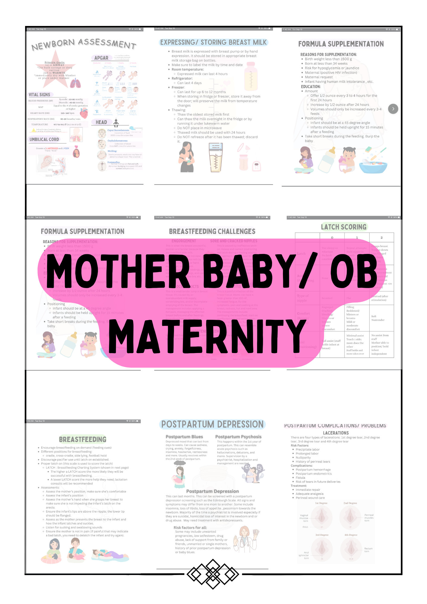 OB Maternity / Postpartum / Newborn Nursing Notes Plus Mark Klimek ...
