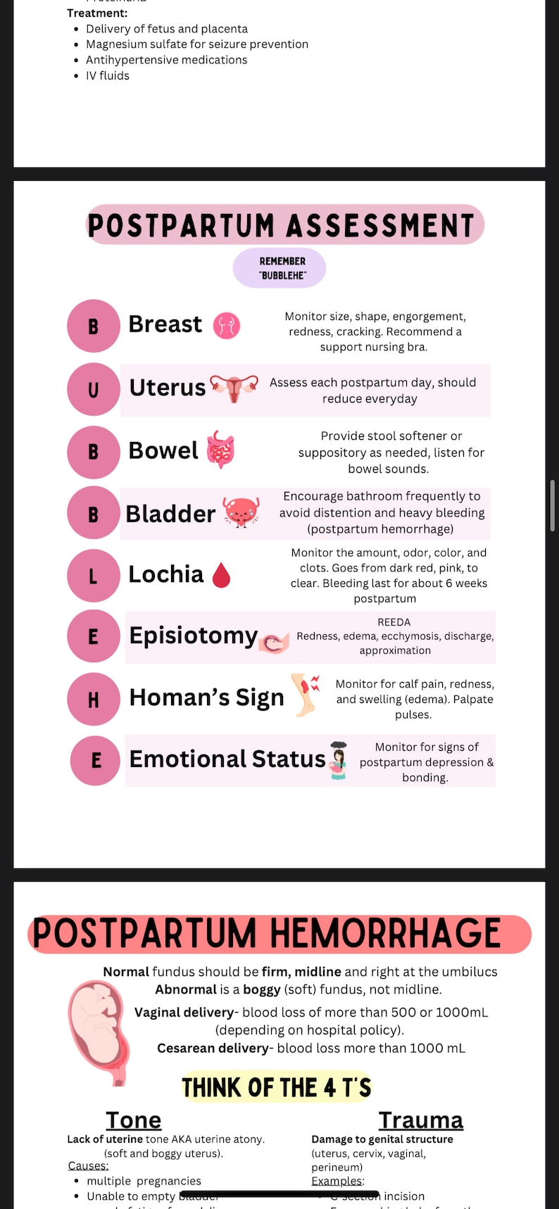 OB Maternity / Postpartum / Newborn Nursing Notes Plus Mark Klimek ...