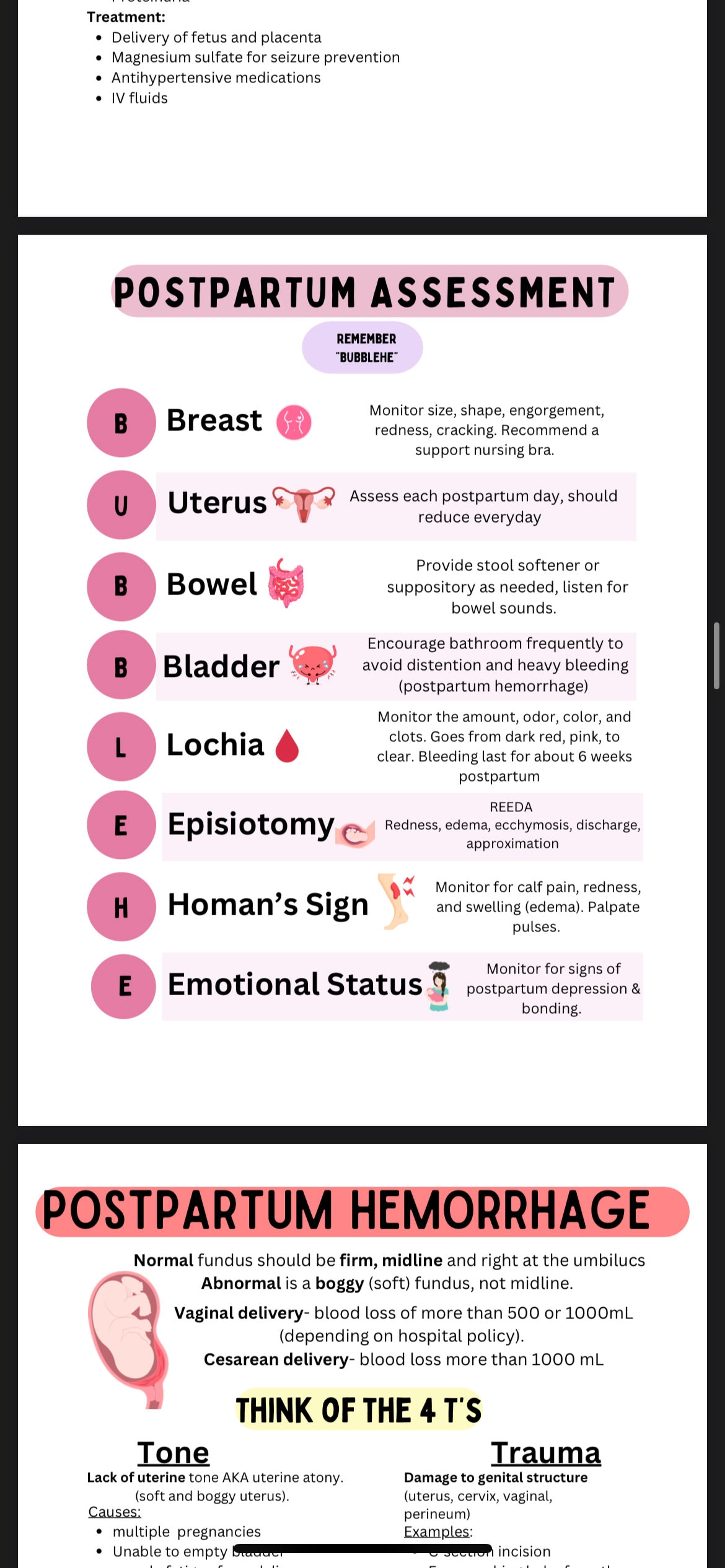 OB Maternity / Postpartum / Newborn Nursing Notes Plus Mark Klimek ...