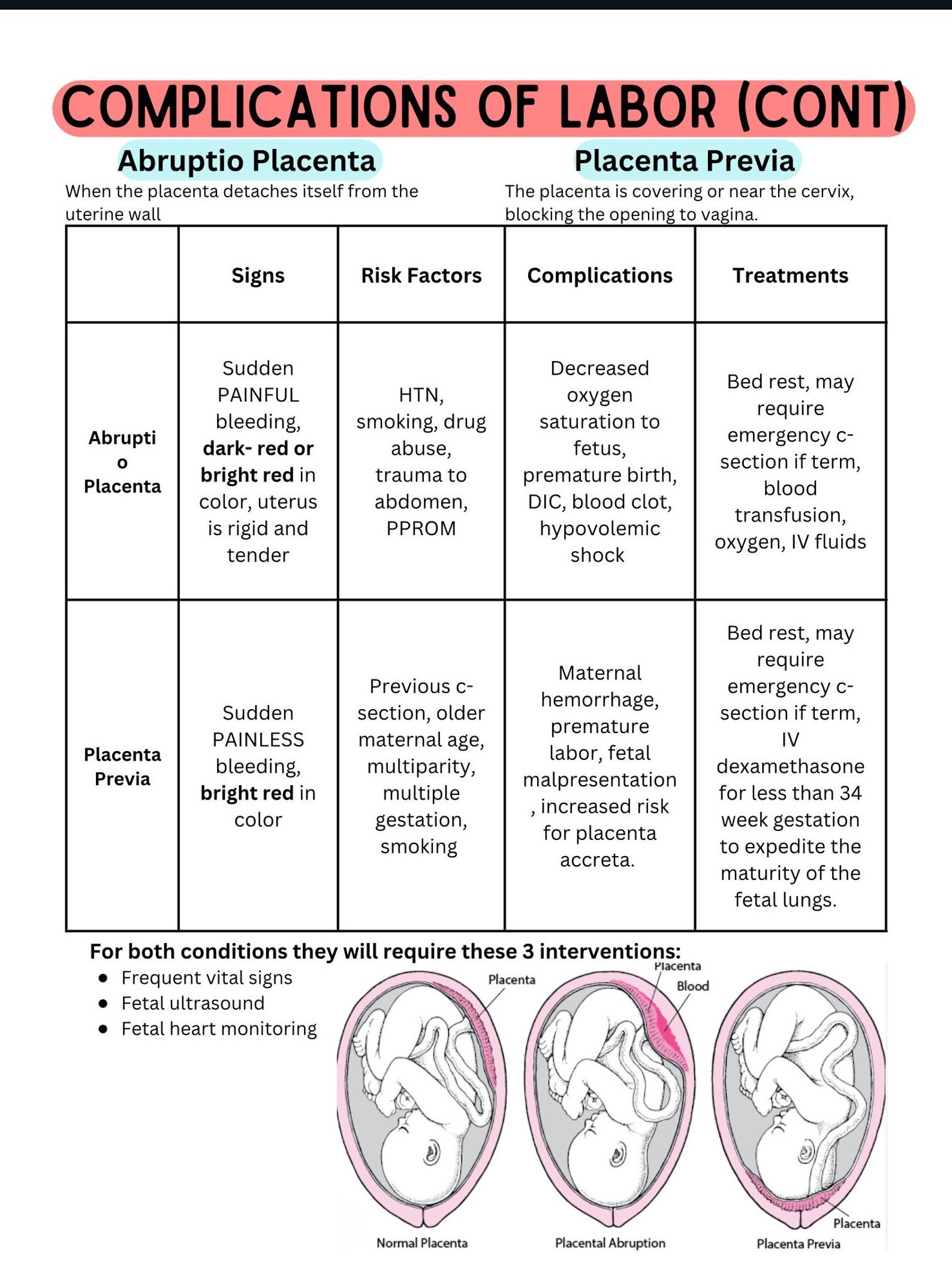 OB Maternity / Postpartum / Newborn Nursing Notes Plus Mark Klimek ...