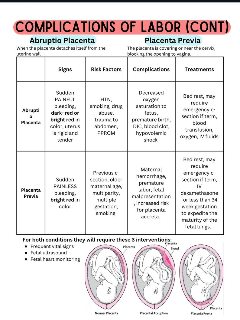 OB Maternity / Postpartum / Newborn Nursing Notes Plus Mark Klimek ...