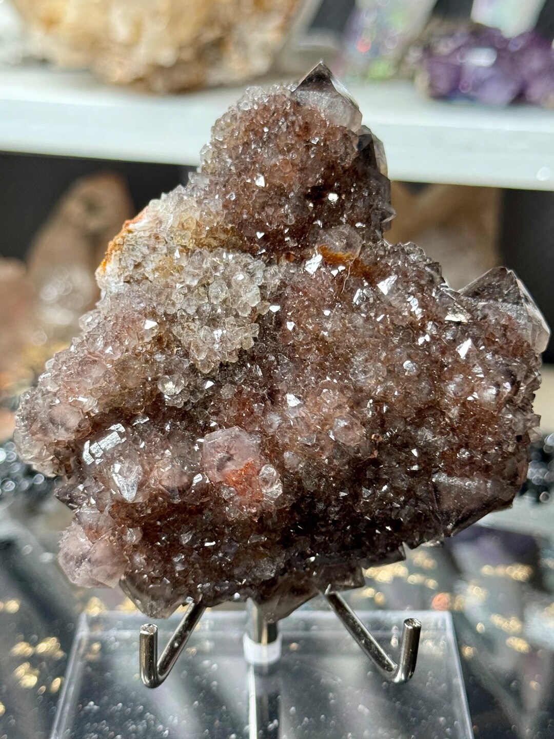 Ultra Rare Smoky Scepter Spirit Quartz Cluster South Africa - Etsy