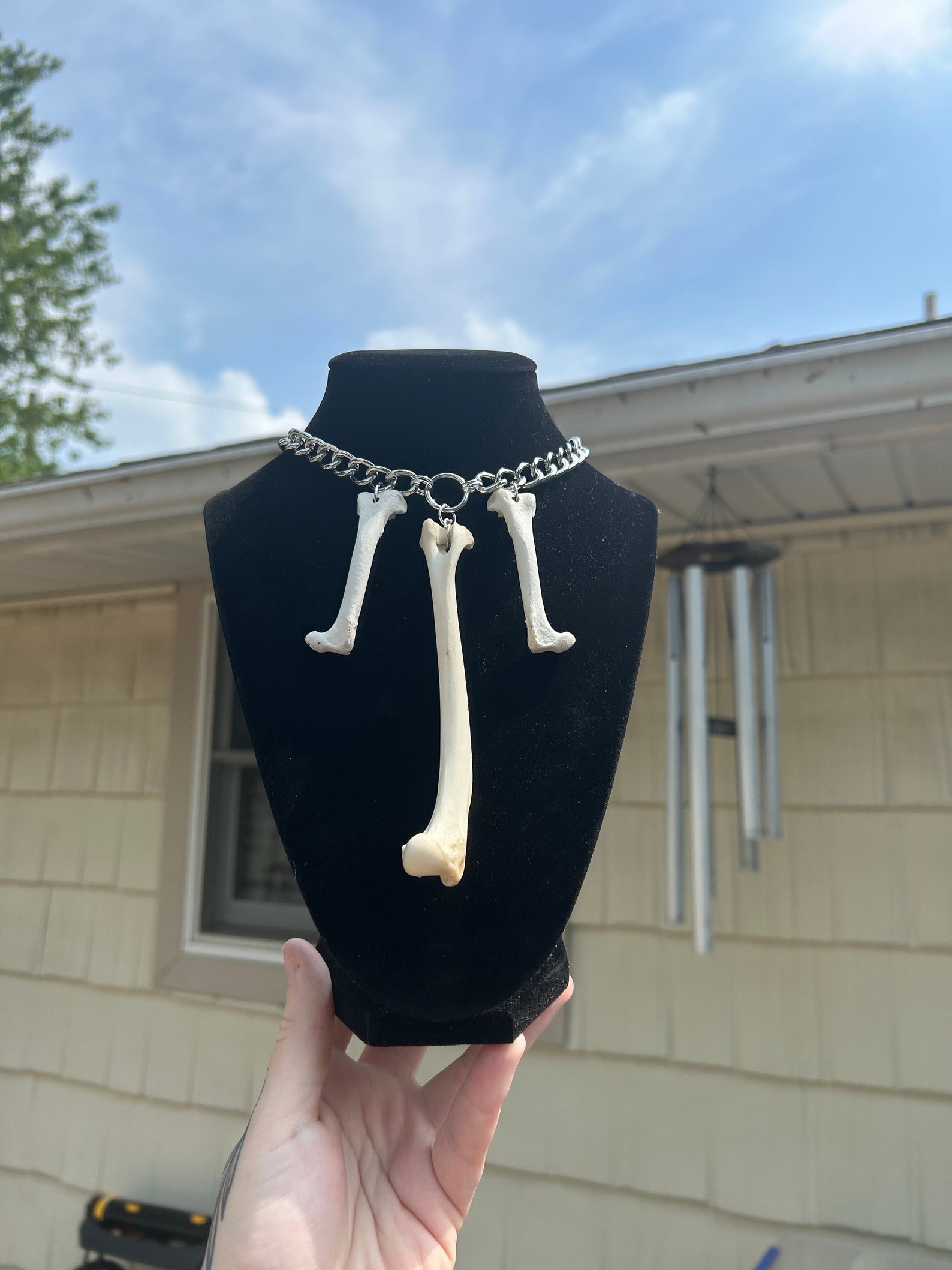 LEGS FOR DAYS Handmade Deer Leg Bone Fox Bone Leg Bone Necklace Choker Animal Bones Taxidermy ...