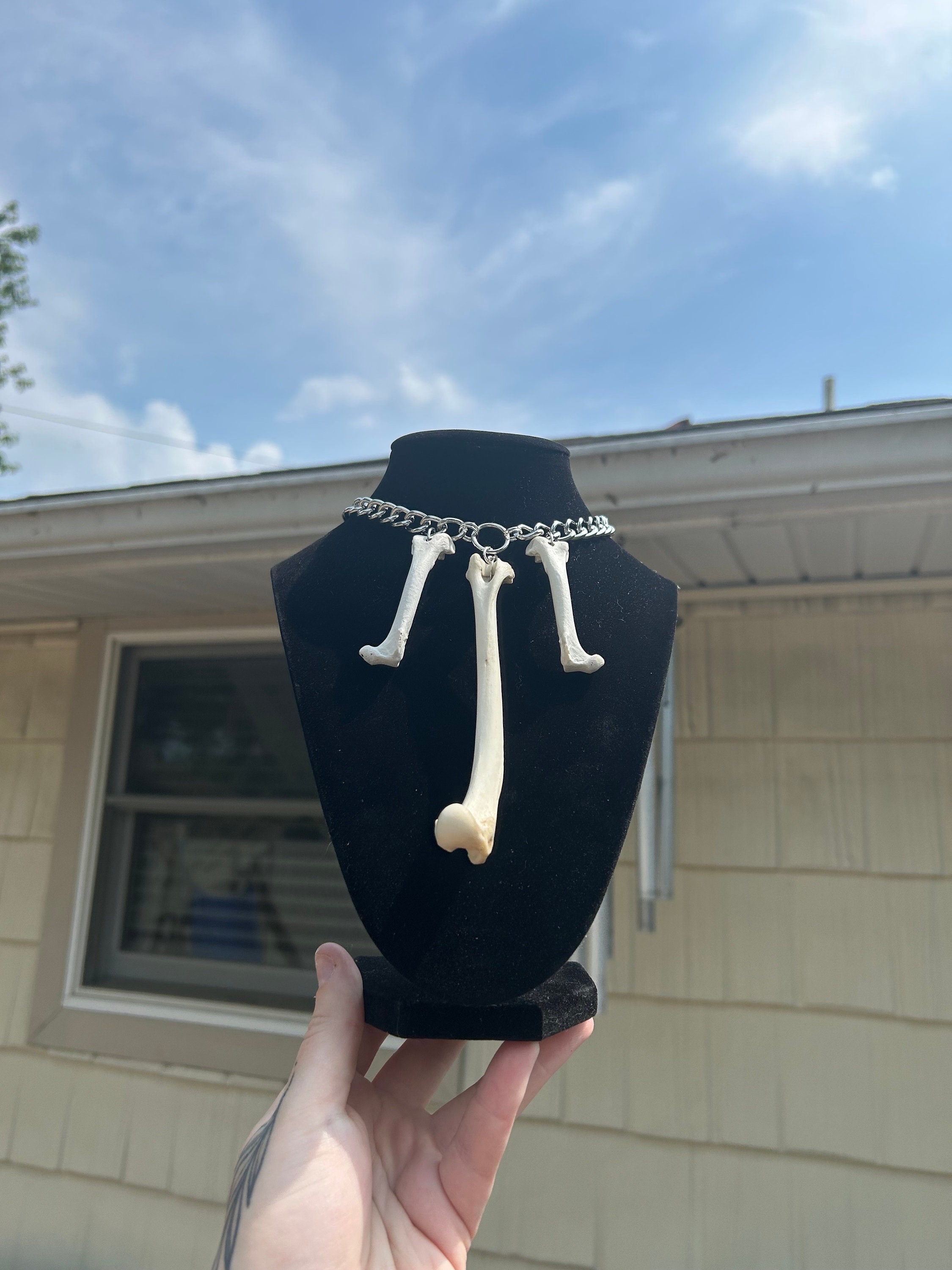 LEGS FOR DAYS Handmade Deer Leg Bone Fox Bone Leg Bone Necklace Choker Animal Bones Taxidermy ...