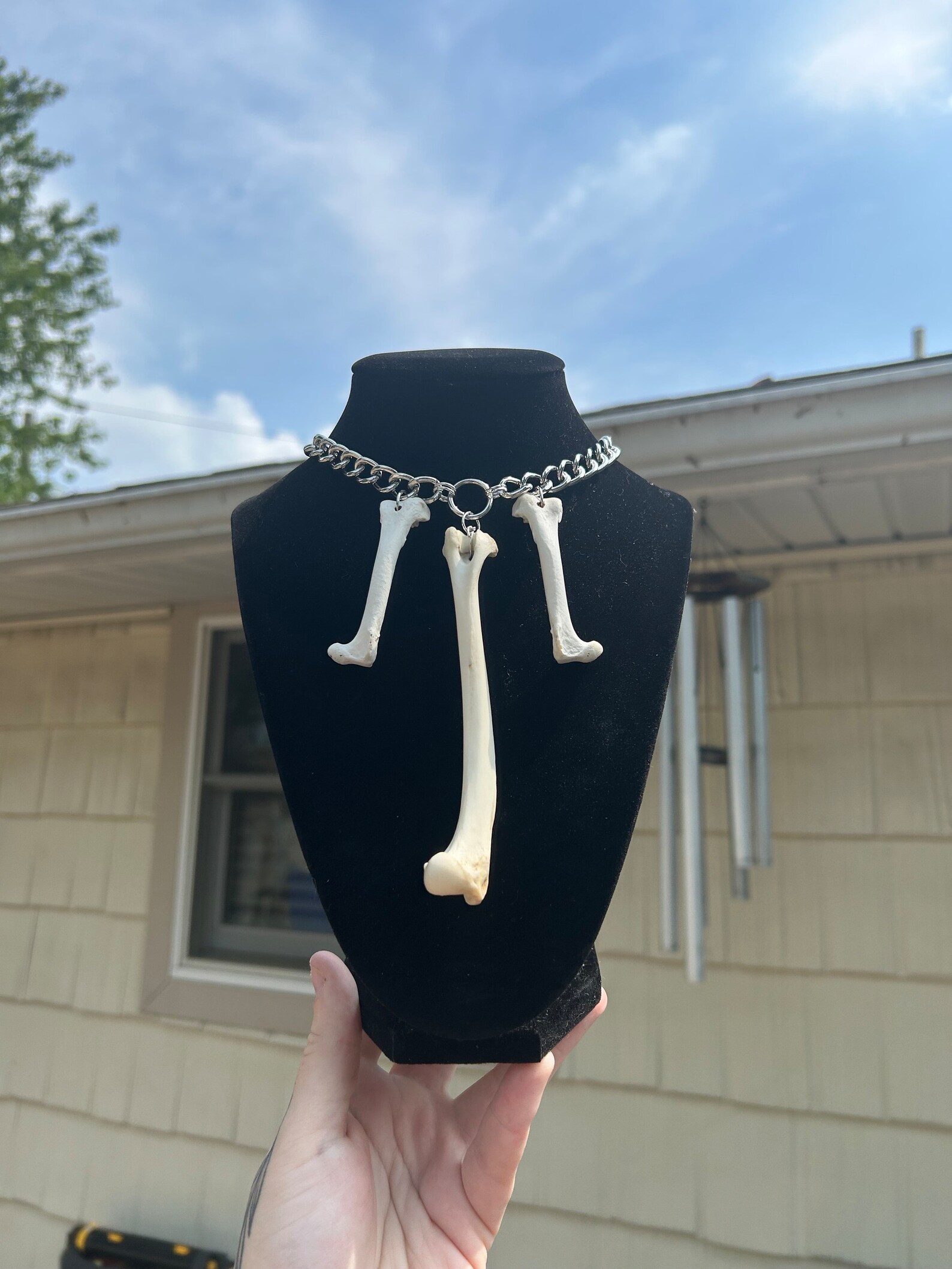 LEGS FOR DAYS Handmade Deer Leg Bone Fox Bone Leg Bone Necklace Choker ...