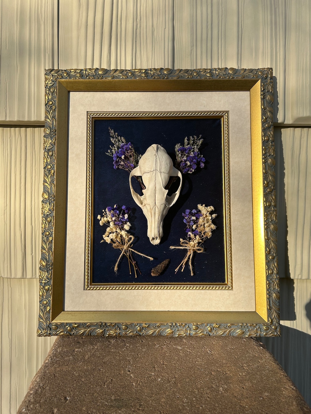 THE BLUE LADY Handmade Framed Bone Art Fox Skull Vertebrae Animal Bone ...